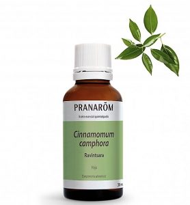 PRANAROM Ravintsara - Respiración - Defensas naturales - Purificador